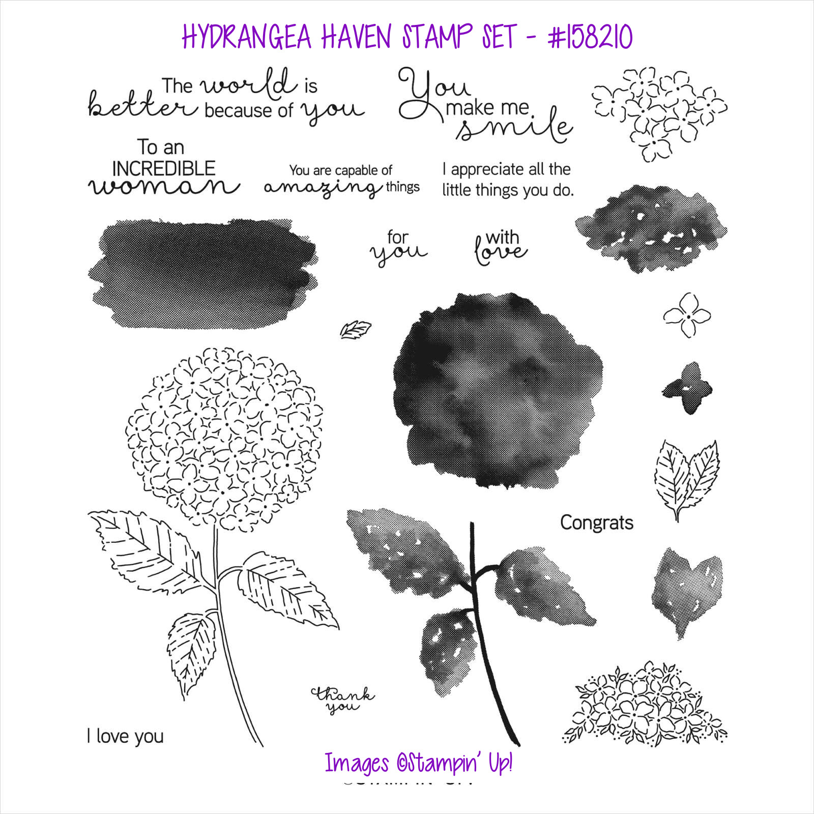 Dutch Fold Slider Card – Jumping Into Stamping